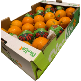 Large Orange Box Fruit For The Office